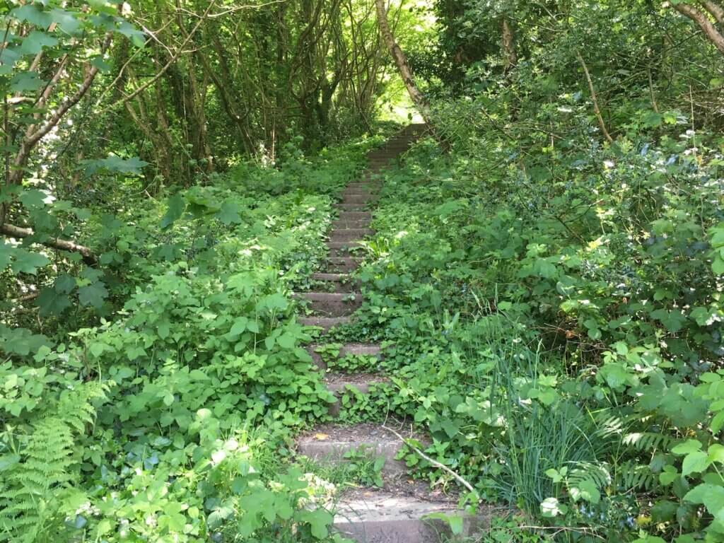Steps to Arthog Falls - Graig Wen